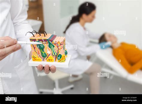 Cosmetologist Explains Skin Anatomy Using Skin Structure Model While