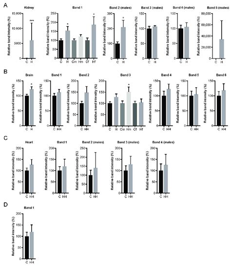 Densitometric Analyses Of 4 Hydroxynonenal HNE Protein Signals