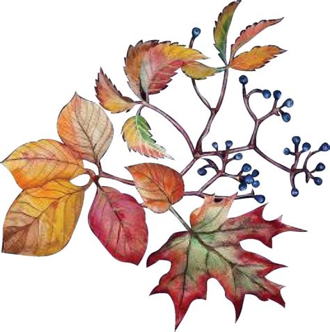 Pin By Life Coppier On Fabric Collection In 2024 Botanical Flower Art