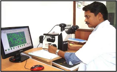 Metallurgical Testing At ₹ 800 Sample In Nagpur Id 10782983233