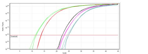 Solved Real Time Pcr A In This Real Time Pcr Graph Which