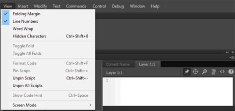 Write And Manage Scripts In Animate