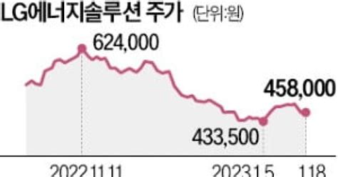 테슬라 폭탄 세일에…들뜬 Lg엔솔