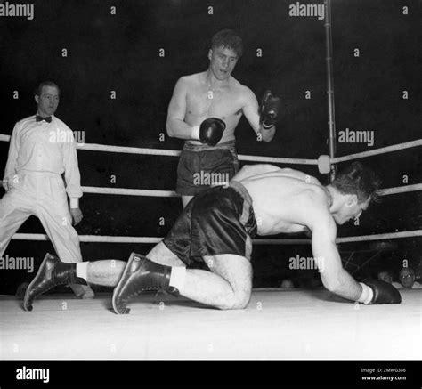 Don Cockell British Cruiserweight Champion Stands Over Nick Barone Of