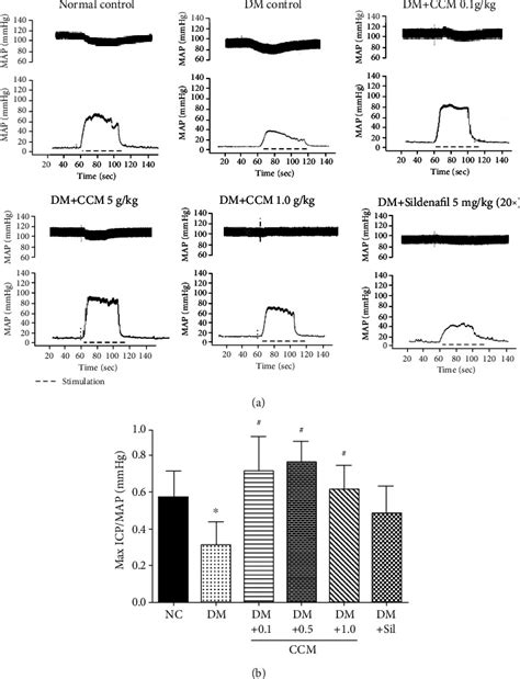 Effects Of Cultured Cordycep Militaris On Sexual Performance And Erectile Function In