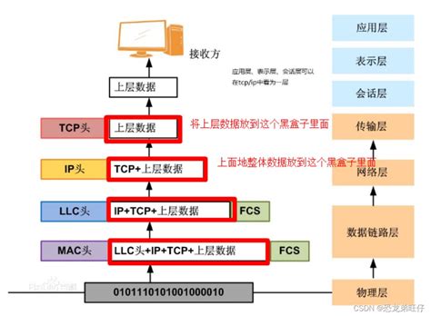 Arp Arp V Csdn