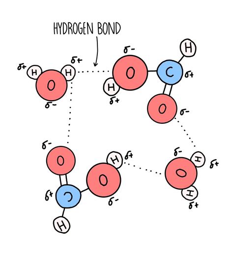 Carboxylic Acids And Esters — The Science Sauce