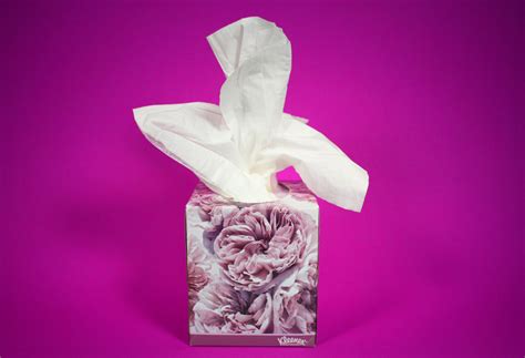 A Tissue Issue My Blog