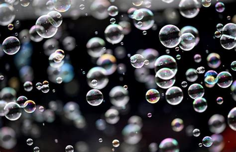 Why Have We Become Bubble Brains