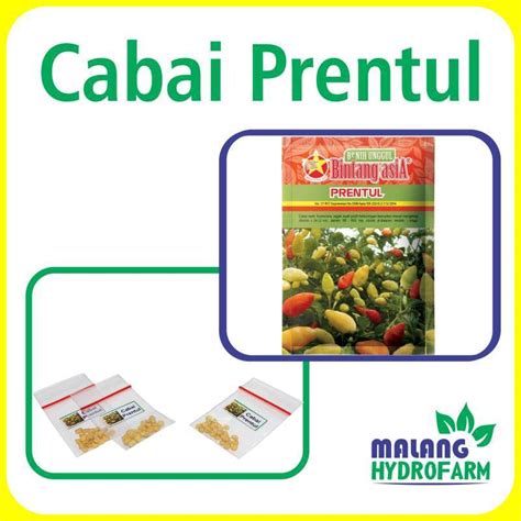 Jual Benih Cabai Rawit Prentul Repack Bintang Asia Biji Bibit Cabe