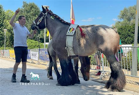 Lei En Ischa Kampioenen Jaarmarkt Wemmel