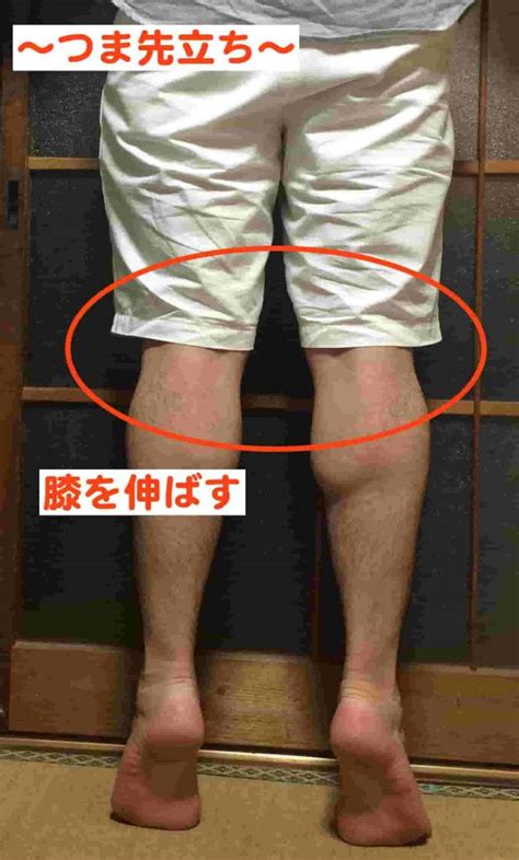 ヒラメ筋の効果的なストレッチや鍛え方とは ふくらはぎはヒラメ筋と腓腹筋で構成 一寸先は痛み理学療法士が作る痛みと原因の説明書