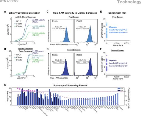 Figure 2 From In Vivo Crispr Screening Directly Targeting Testicular Cells Semantic Scholar