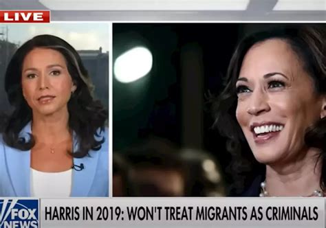 Tulsi Gabbard ‘kamala Harris Is An Empty Suit Candidate Who Will ‘say