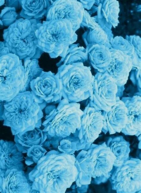 Pin von I m Maya auf Эстетика Blumen hintergrund iphone Hintergrund