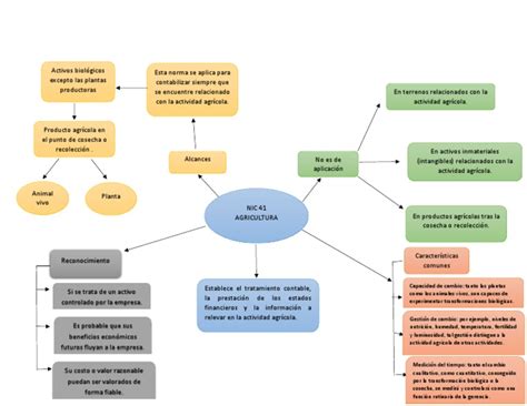 Mapa Conceptual Nic 41 Agricultura Pdf Agricultura Cosecha