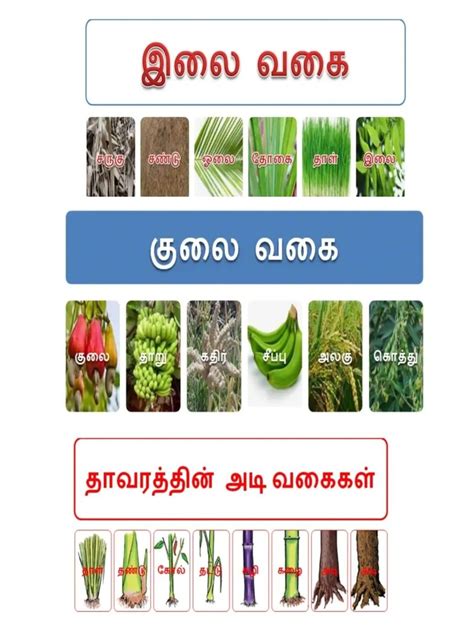 தமிழ் சொற்கள் Knowledge Quotes General Knowledge Save