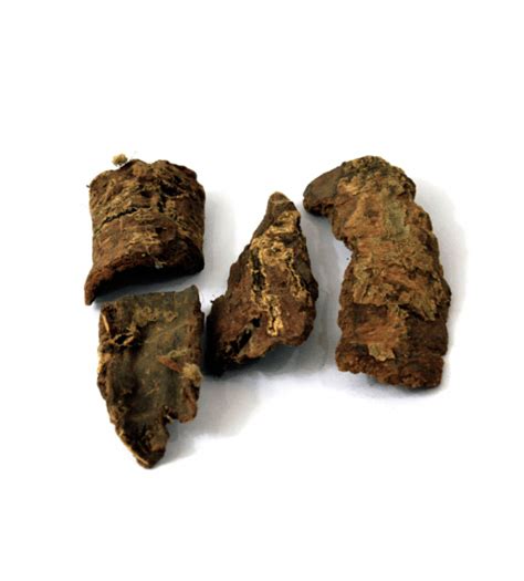 Buy Box Myrtle Kath Phal کاٹھپل At Best Price In Pak