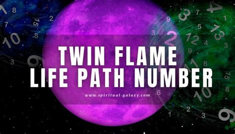 Twin Flame Life Path Number Signs And Numbers Explained Spiritual Galaxy