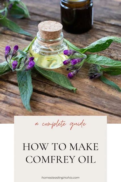 How To Make Comfrey Oil Homesteading In Ohio