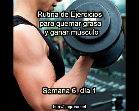 Ejercicios para quemar grasa y ganar músculo Semana día