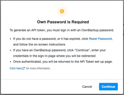 Managing An Api Token For Your Account Own Portal Own