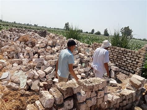 إزالة تعديات على أراضٍ زراعية بقرية اليمن بالإسكندرية بوابة الأهرام