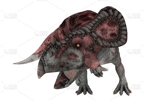 3D插图恐龙原角龙在白色