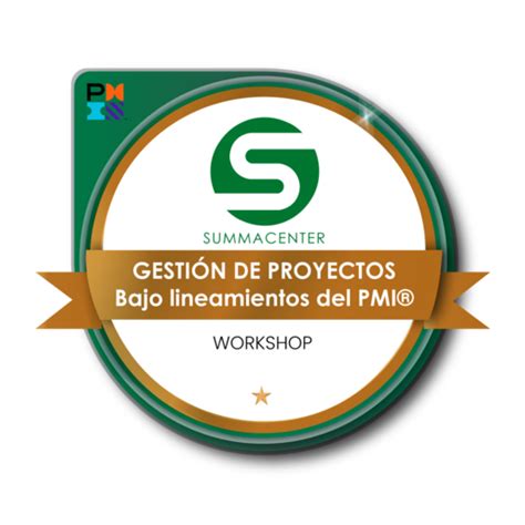 Master Class Dirección De Proyectos Según Los Lineamientos Del Pmbok