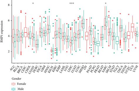 Association Between Expression Levels Of BMP And Clinical Modules In Download Scientific