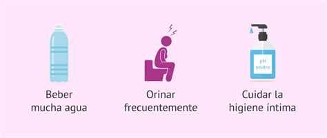 Puedo Saber Si Estoy Embarazada A Los 15 Dias Top