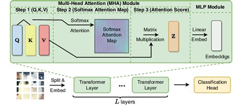 Each Transformer Layer In A Vit Model Comprises A Multi Head Attention