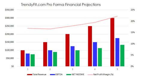How To Write An Ecommerce Business Plan Examples And Template