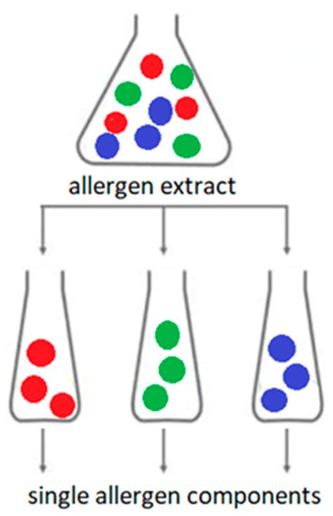 Selected Technical Aspects Of Molecular Allergy Diagnostics
