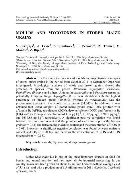 Pdf Moulds And Mycotoxins In Stored Maize Grains