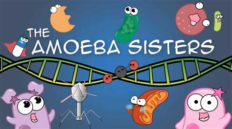The Amoeba Sisters Video Recap Answering Your Questions About