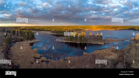 Forested Landscape Close To Sunset The Sunlight Is In A Low Angle