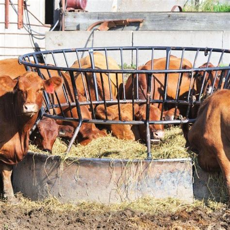 Equipos Para Ranchos Y Ganado Agroequipos Pelaez