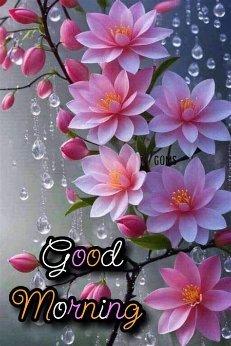 Pin By Hidden Treasures By Janiece On Any Day Of The Week In 2024