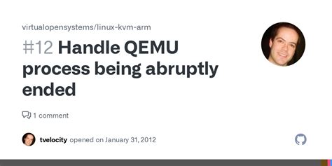 handle qemu process being abruptly ended · issue 12