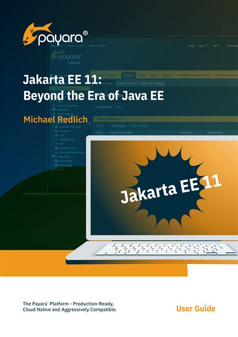 Jakarta Ee Beyond The Era Of Java Ee Payara Services Ltd