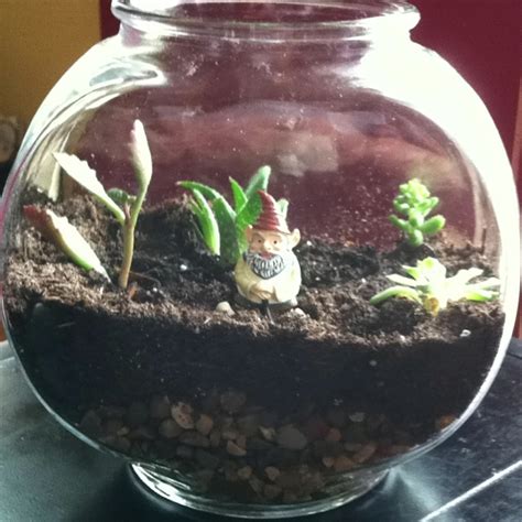 Knome Terrarium By Debbie Hohmann