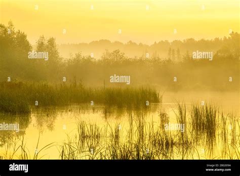 Beaver Pond At Dawn In Early Autumn Greater Sudbury Ontario Canada