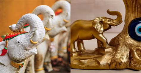 ¿cuáles Son Las Características Del Elefante De Buena Suerte¿qué