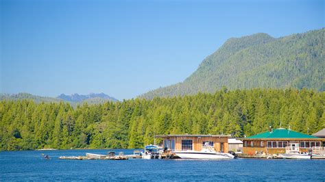 Vancouver Island Ca Vacation Rentals Chalet Rentals And More Vrbo