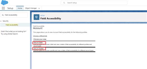 Field Accessibility In Salesforce