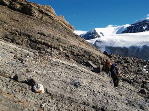 中国の研究チーム、ペルム紀末大量絶滅に新仮説 写真5枚 国際ニュース：afpbb News