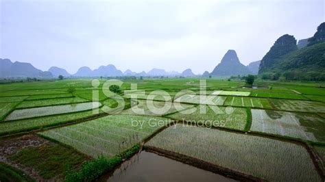Karst 지역 01 논 스톡 사진 Freeimages