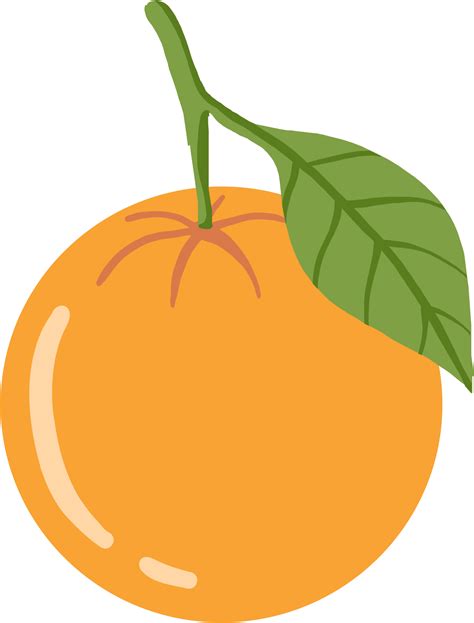 Free Doodle Dibujo A Mano Alzada De Fruta Naranja 12073834 Png With