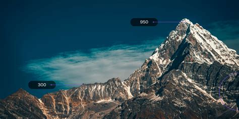 Finance365s Guide To Understanding And Checking Your Credit Score